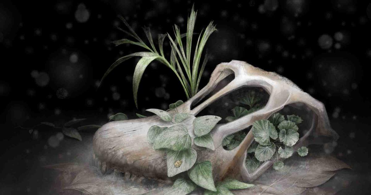 Eons | When Plants Doubled Their DNA | Season 5 | Episode 19 | PBS