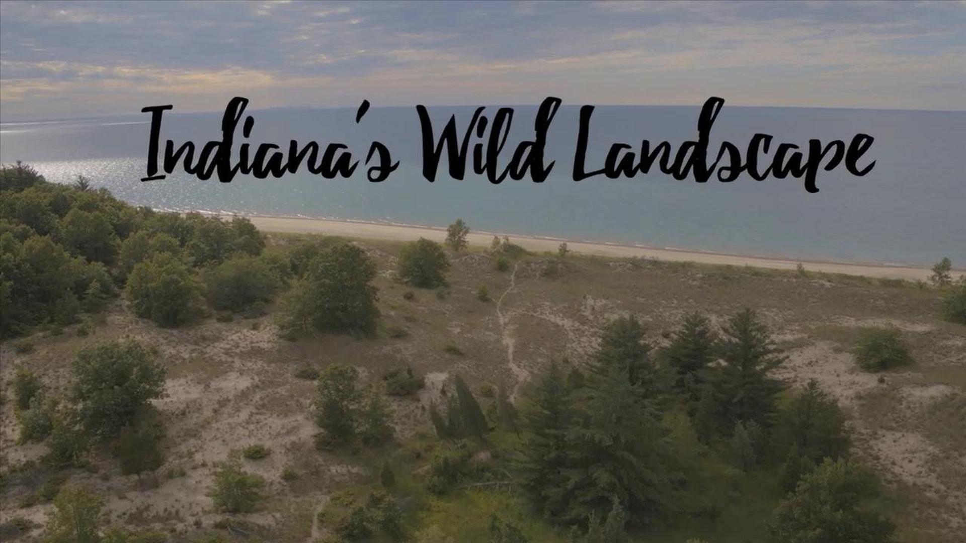 Indiana's Wild Landscape | WTIU Documentaries | ALL ARTS