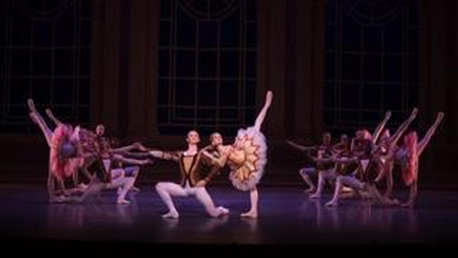 UNCSA: Dancing to New Heights | MUSE | ALL ARTS