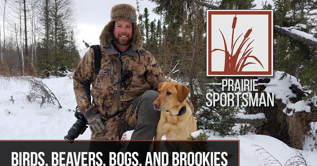 Prairie Sportsman | Birds, Bogs, Beavers and Brookies | Season 9 ...