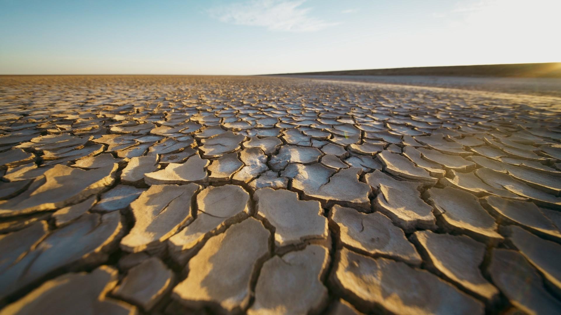 Reviving the River: Hope Returns to the Colorado Delta | Human ...