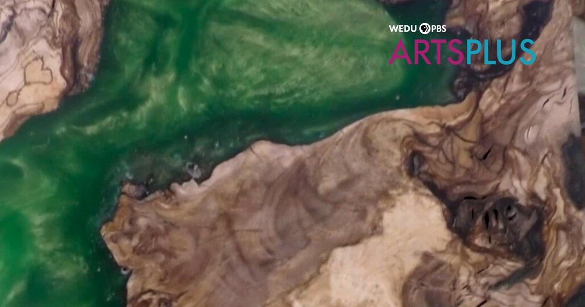 WEDU Arts Plus | Season 13 | 1309 | Episode | PBS