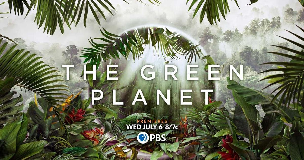 The Green Planet | The Green Planet - Teaser | PBS