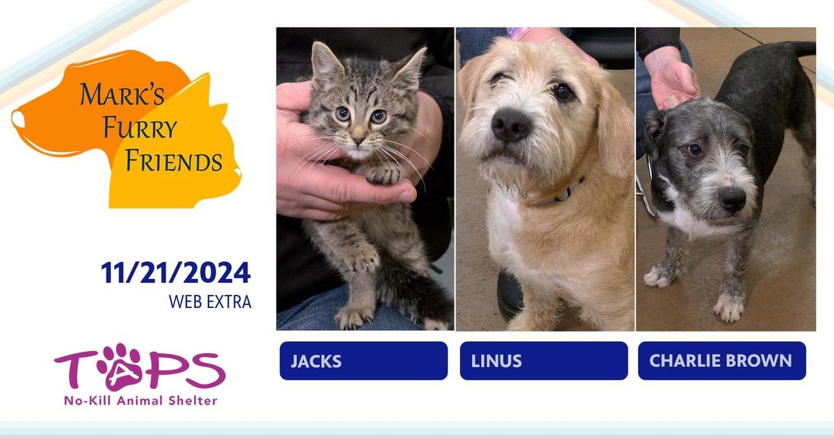 Mark’s Furry Friends | 11/21/2024 | Jacks, Linus and Charlie Brown ...