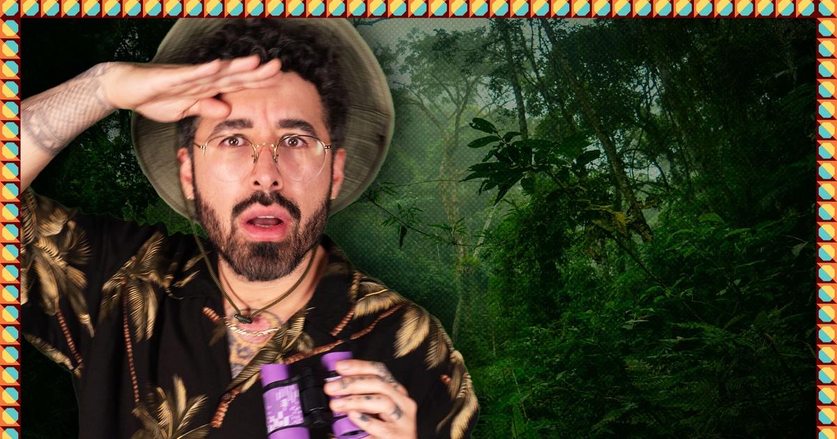 Crash Course Latin American Literature | Nature in Latin American ...