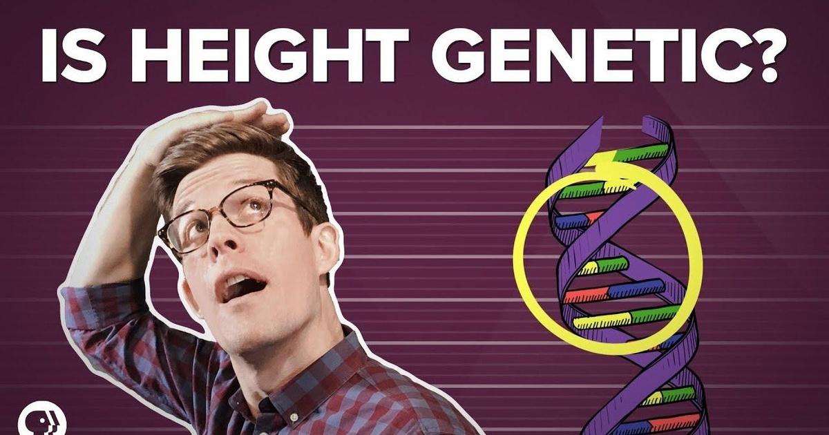 Be Smart | Is Height Genetic? | Season 6 | Episode 26 | PBS