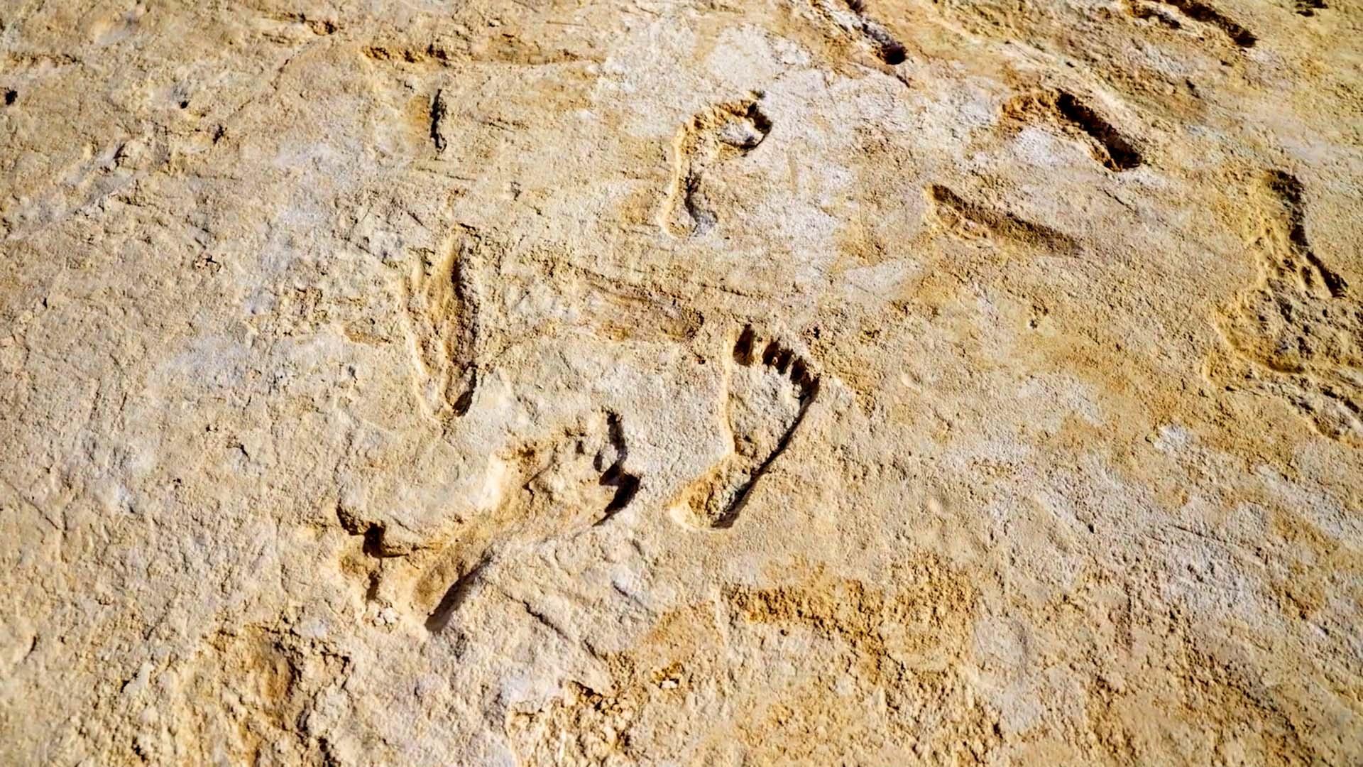 These Ancient Footprints Rewrite North American History | Untold Earth ...