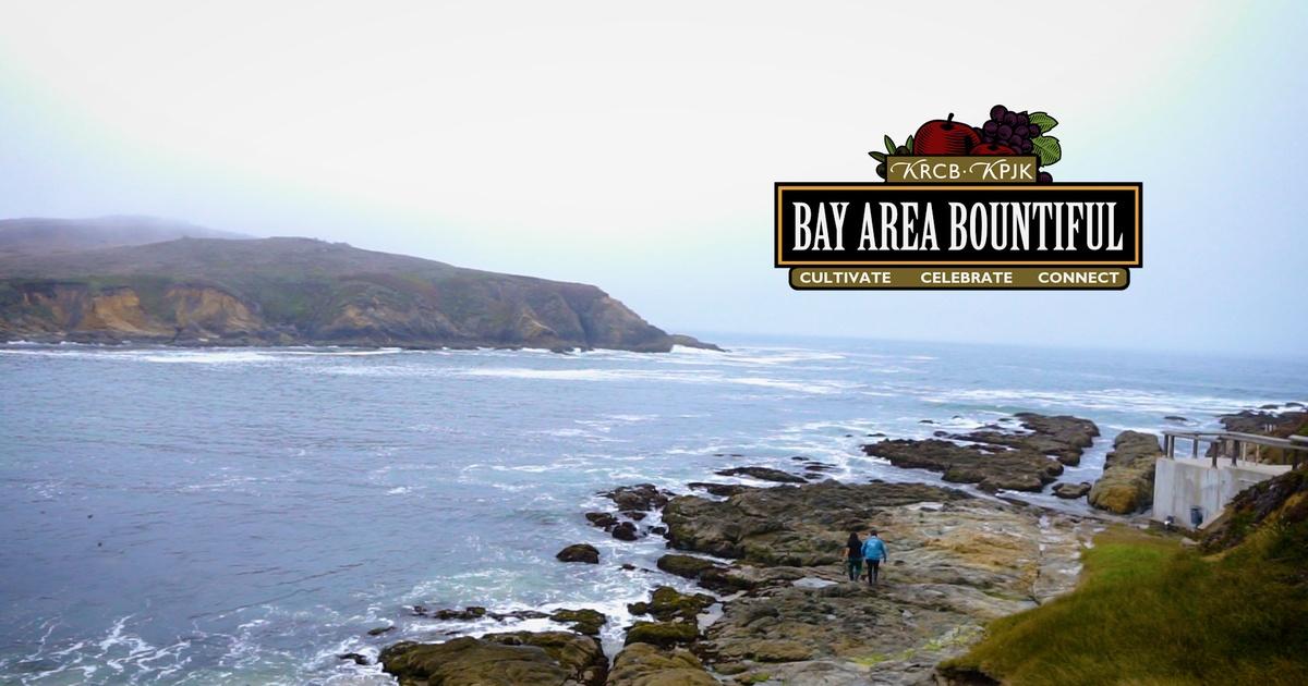 Bay Area Bountiful | Bay Area Bountiful: Changemakers and Trailblazers ...