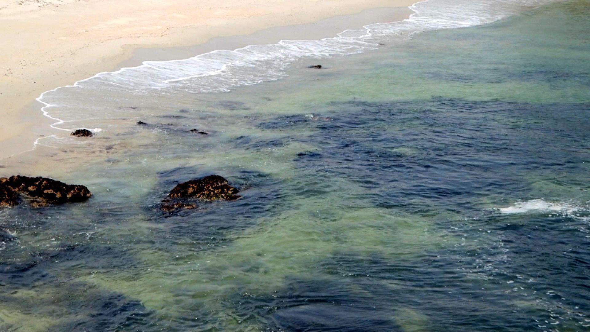 PBS News Hour: What did the ocean look like before plastic pollutants ...