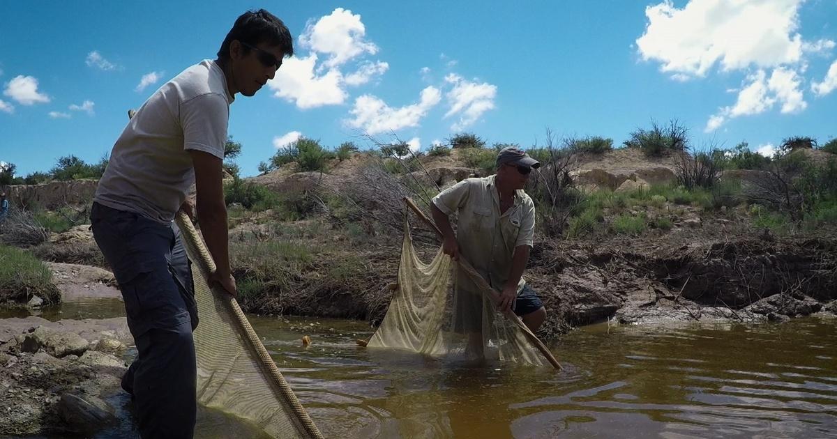 Texas Parks and Wildlife | Pecos Pupfish, Fishing Educator & D-Day ...