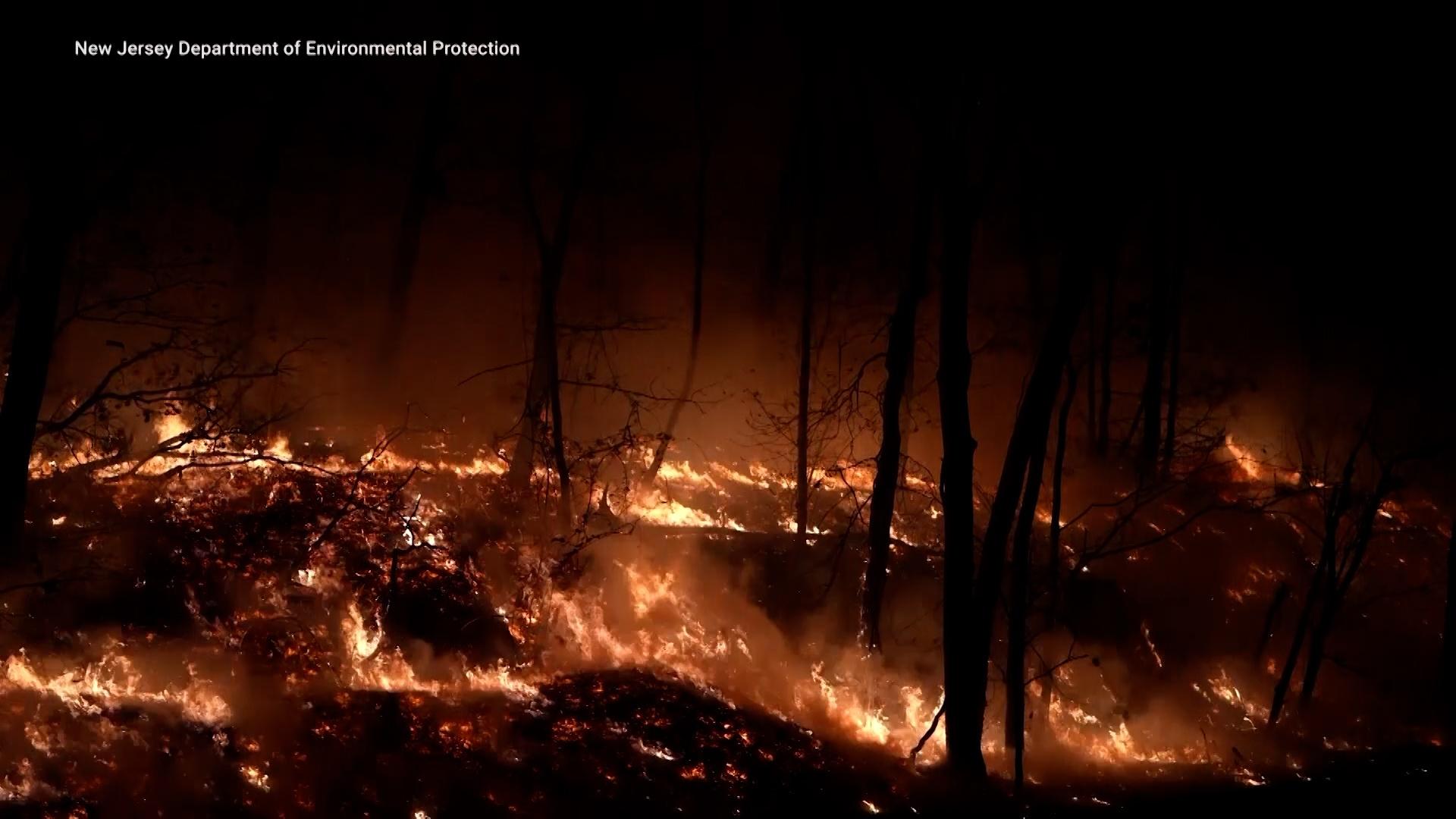 Forest Fire Service battles major wildfire on NJ-NY border | NJ ...