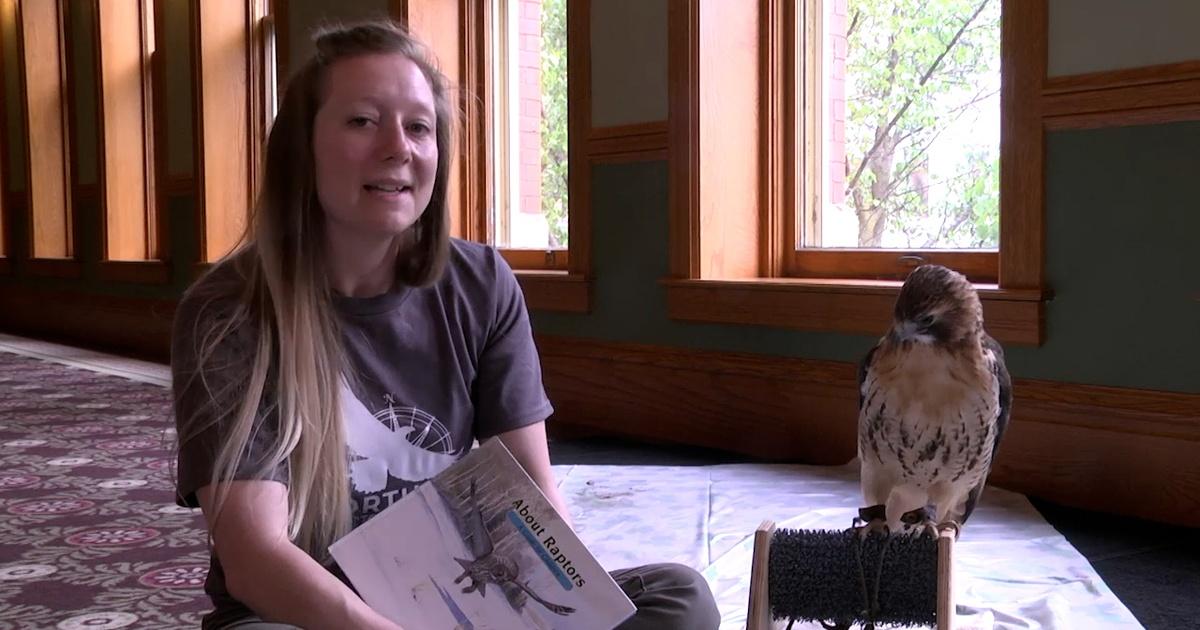 DPTV Specials | Exploring Raptors: Birds of Prey | PBS