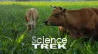 Science Trek | PBS