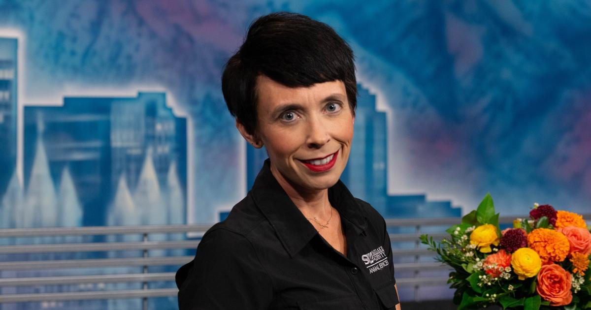 Contact | 2019 Petapalooza | PBS