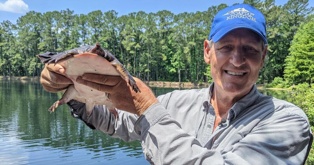 Coastal Kingdom | Lowcountry Turtles | Season 3 | Episode 8 | Houston PBS