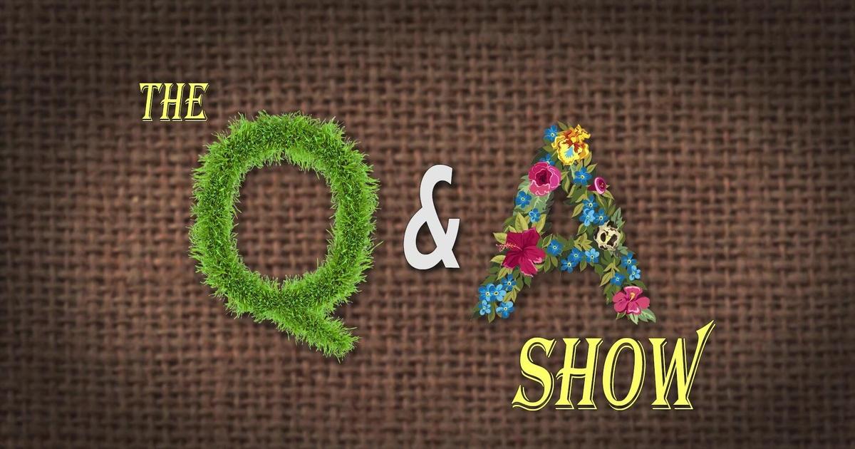 The Family Plot | Q&A Show #3 | Season 15 | Episode 18 | PBS