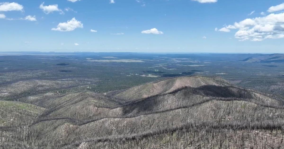 New Mexico In Focus | 2025 Rewind: Ruidoso Floods; Healing a Burn Scar ...