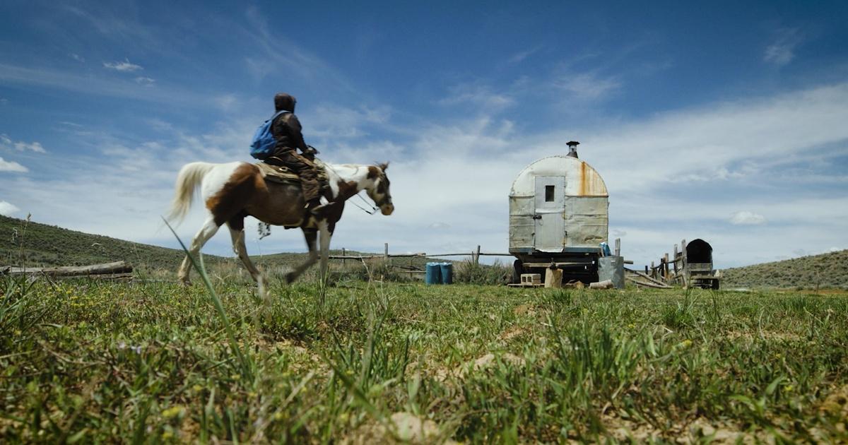 Sheared: Challenges Facing Colorado's Sheep Industry | The Lonely Life ...