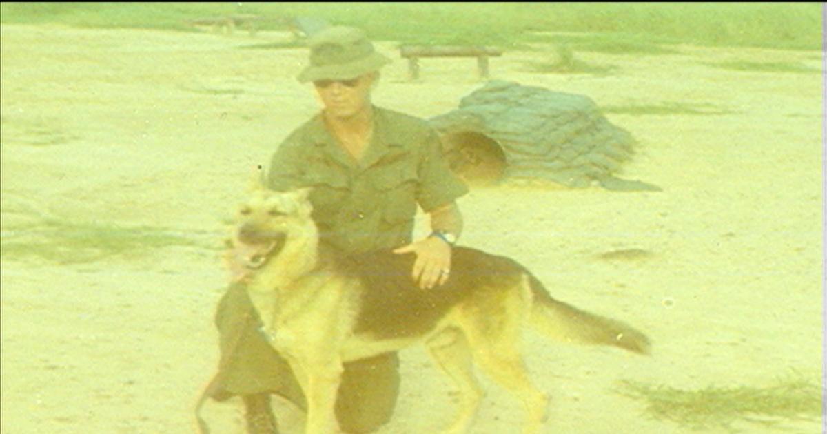 Vietnam Stories | Memorial for Vietnam War Dogs | PBS