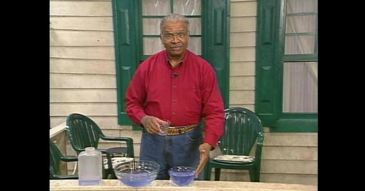 Hello, Mr. Chuck! | Counting | Season 2 | Episode 7 | PBS