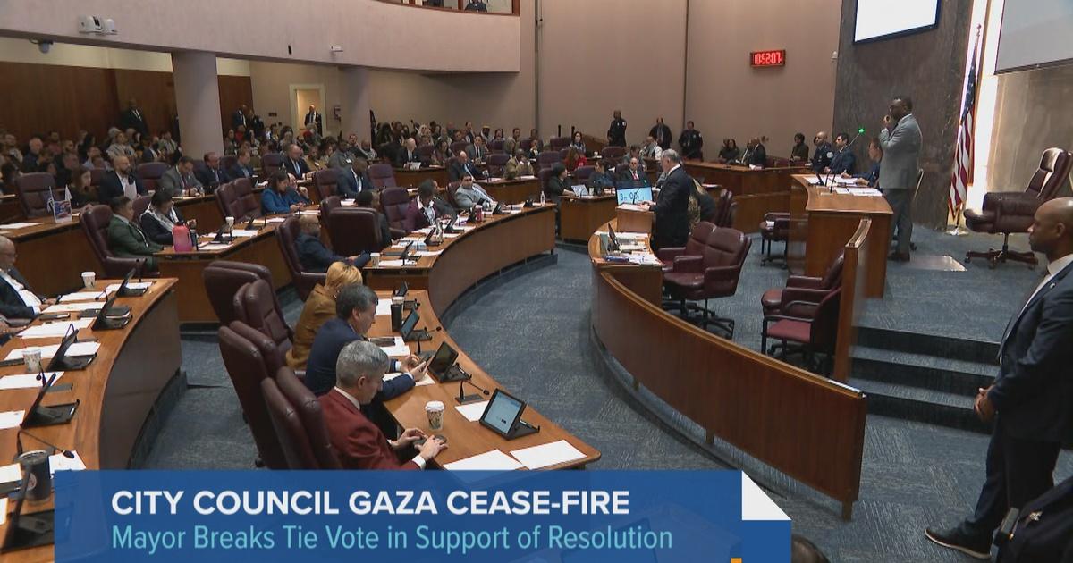 Chicago Tonight | Chicago City Council Calls for Cease-Fire in Gaza ...