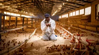 Human Footprint | PBS