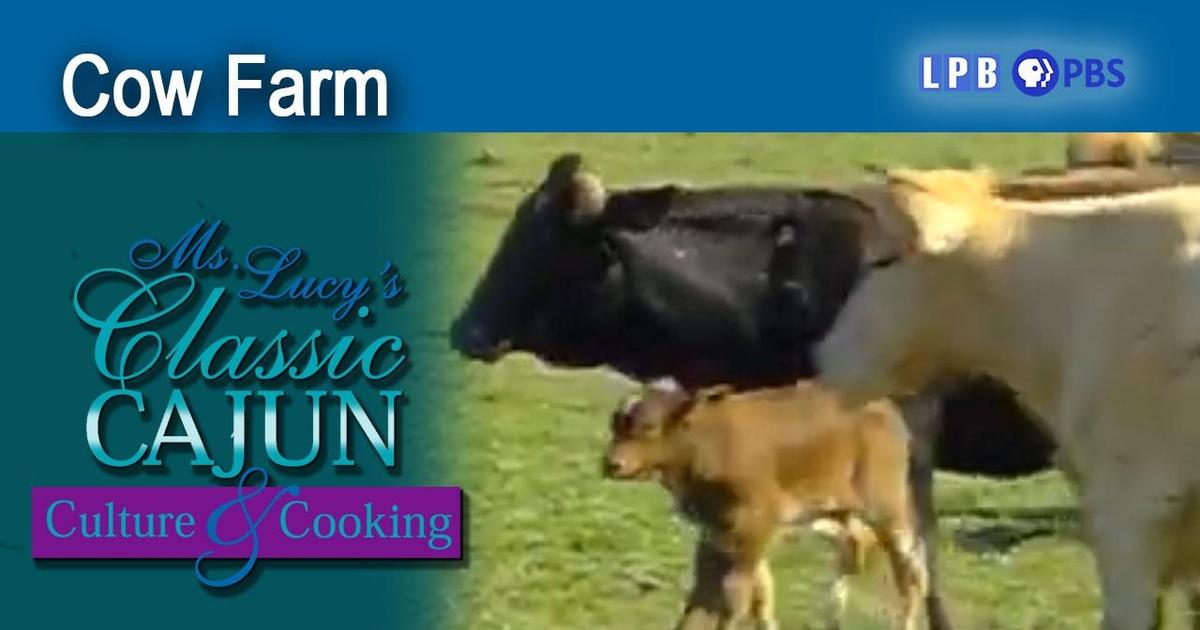 Ms. Lucy's Classic Cajun Culture and Cooking | Cow Farm | Season 6 ...