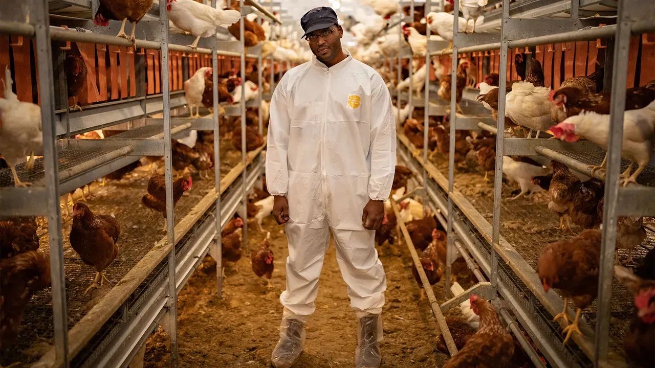 Human Footprint | The Replacements | Season 1 | Episode 4 | PBS