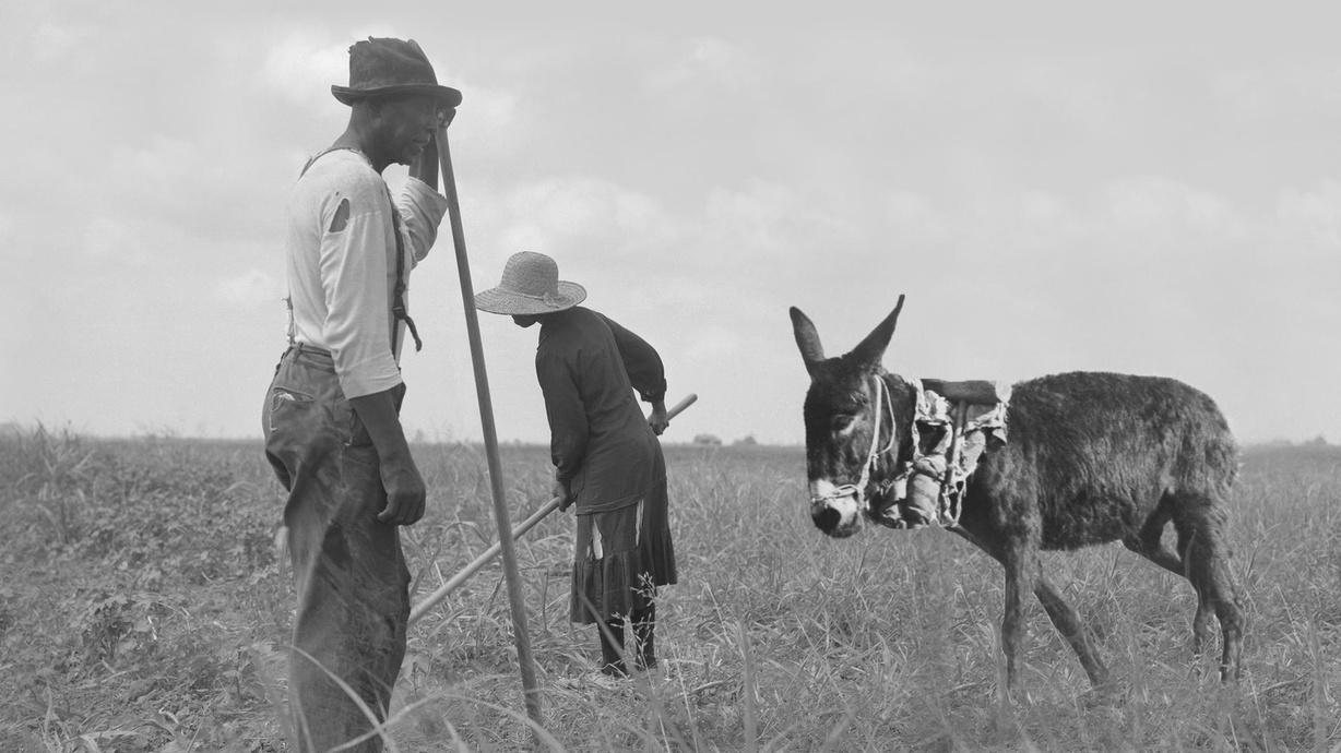 The History of Reparations | Watch on PBS Wisconsin