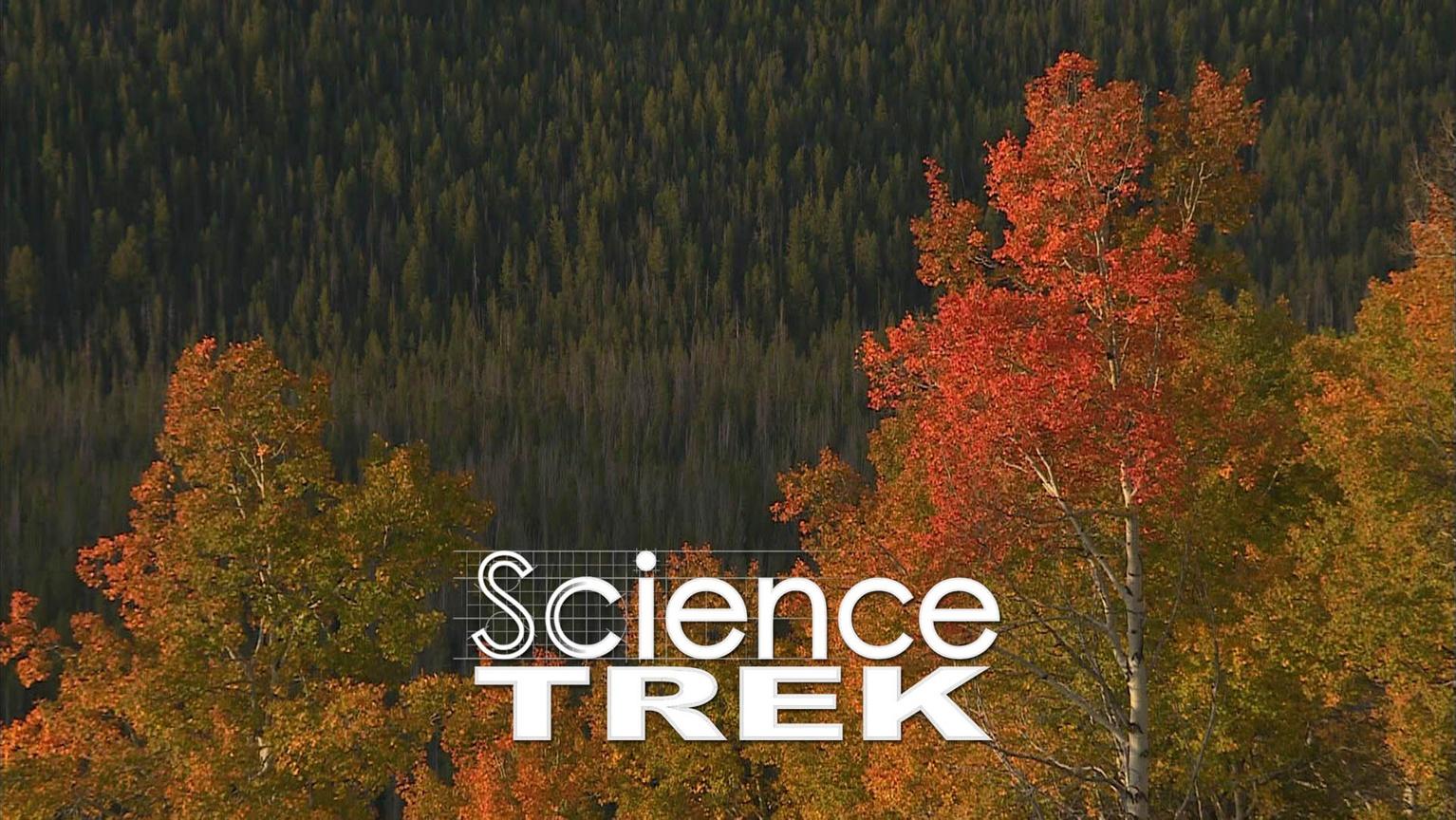 The Web Show Muscles Science Trek Pbs