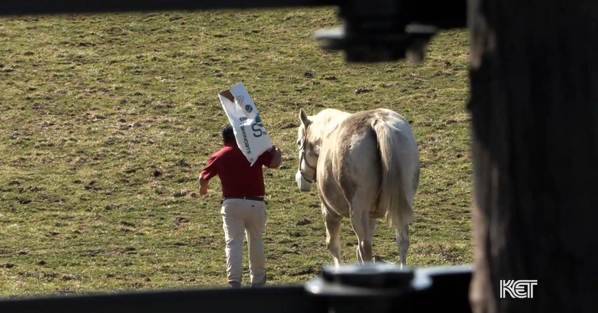 Kentucky Edition | Stable Recovery | Season 3 | Episode 183 | PBS