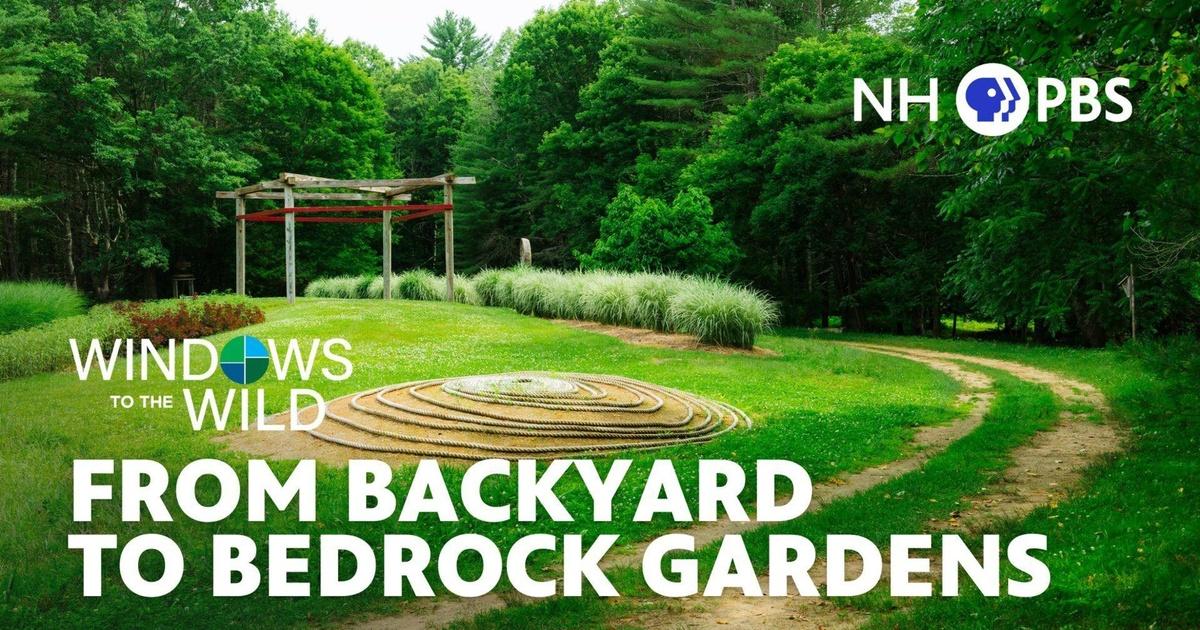 Windows to the Wild | From Backyard to Bedrock Gardens | PBS