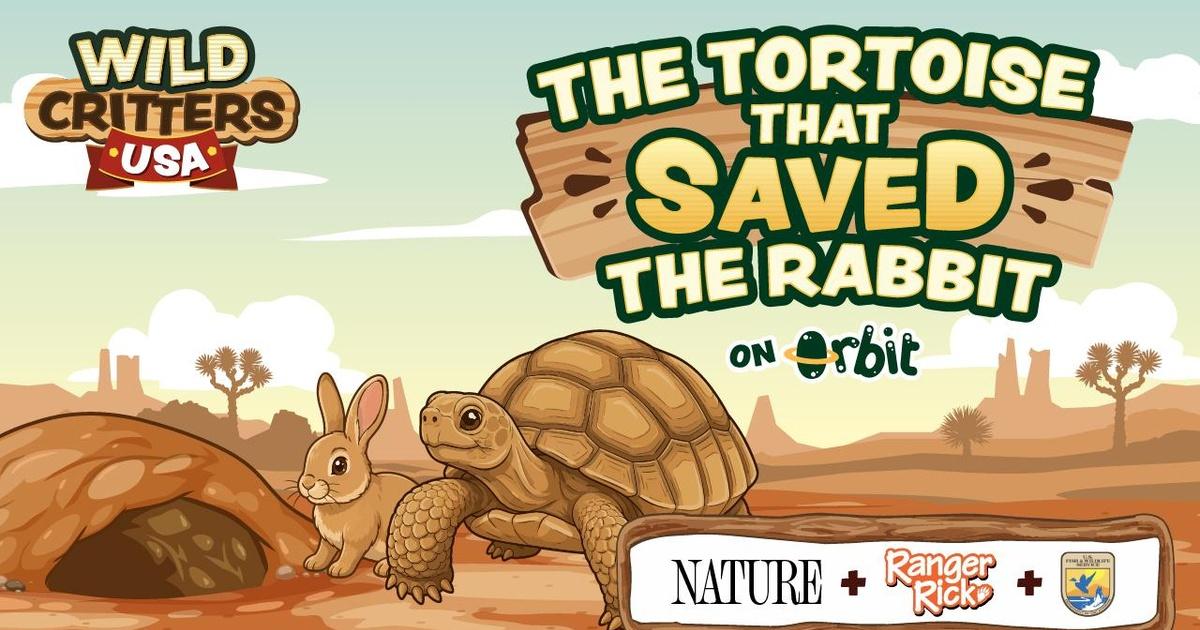 Nature | The Tortoise that Saved the Rabbit | Wild Critters USA | PBS
