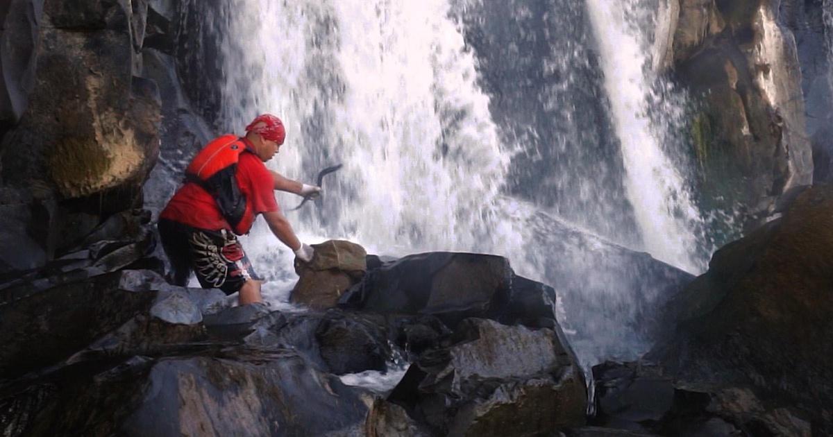 Oregon Field Guide | Lamprey and Community | Season 36 | Episode 2 | PBS