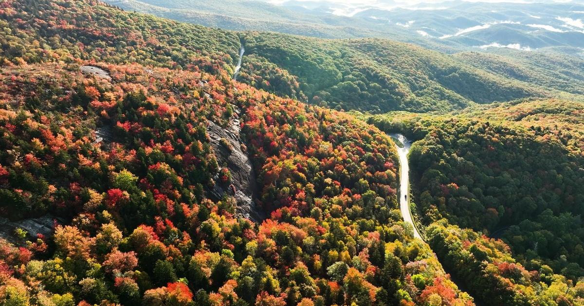 SCI NC | Climate Change Impacts on Fall Foliage | PBS