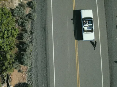 NOVA | Polar Extremes | Season 47 | Episode 1 | PBS