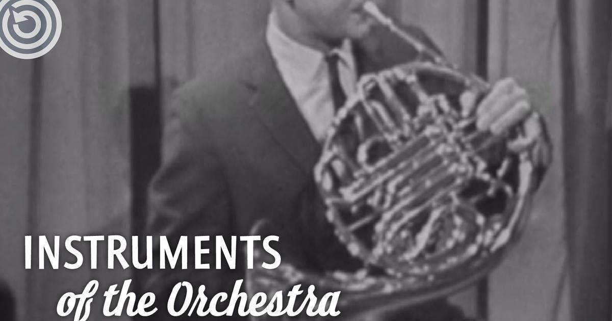 Instruments of the Orchestra | The Brass Family of Instuments | PBS