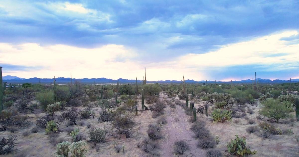 PBS News Hour | Climate change threatens the survival of an iconic ...