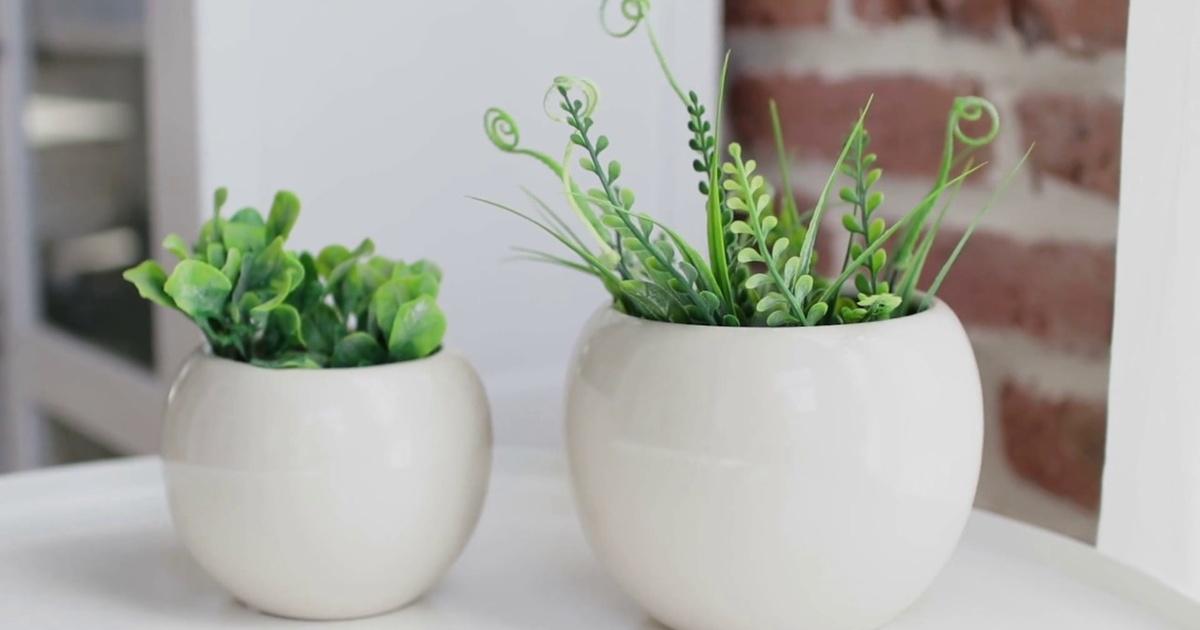 Great Gardening | How to Make Happy Houseplants | Season 20 | Episode 3 ...