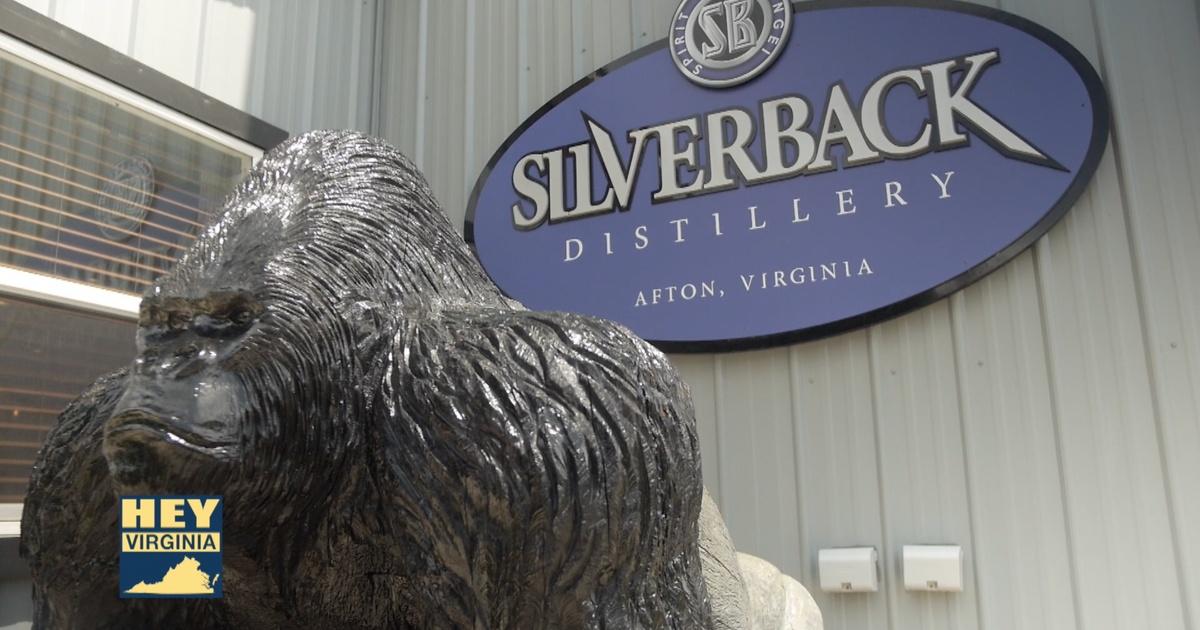 Hey Virginia | Silverback Distillery | Season 2 | PBS