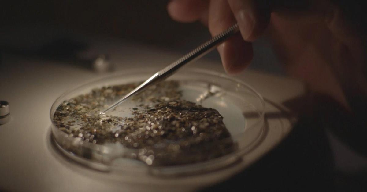 Tending Nature | How the Tolowa Dee-ni' Inform Modern Marine Protection ...