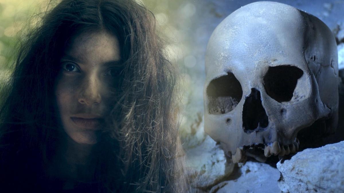 Searching for a Skull | NOVA | NJ PBS