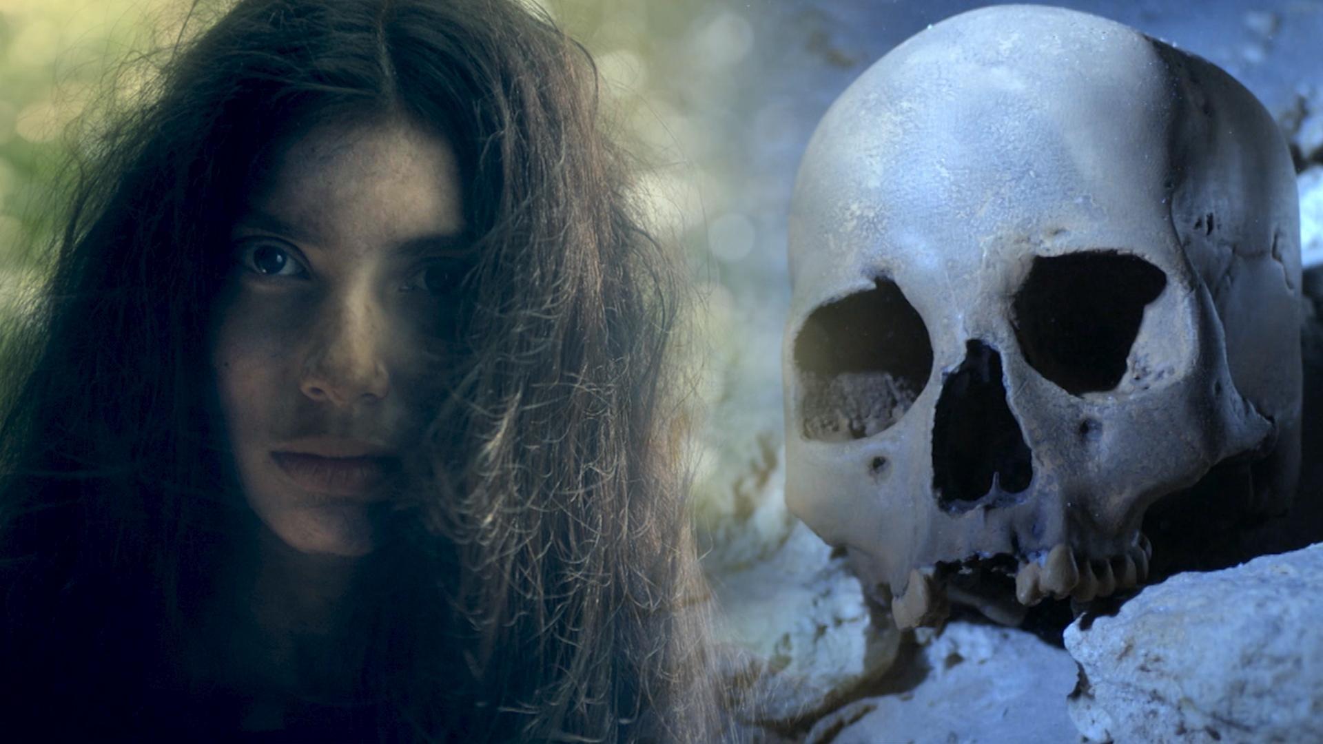 Searching for a Skull | NOVA | NJ PBS