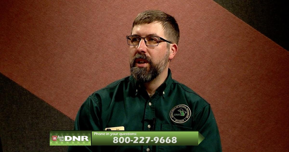 Ask the DNR | Yard Cleanup and Spring Burn Permits | Season 2022 | PBS