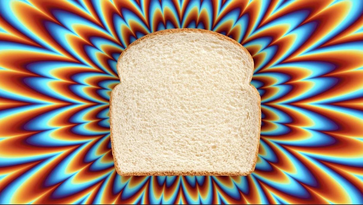 How Moldy Bread Can Change Your Brain | Watch on PBS Wisconsin