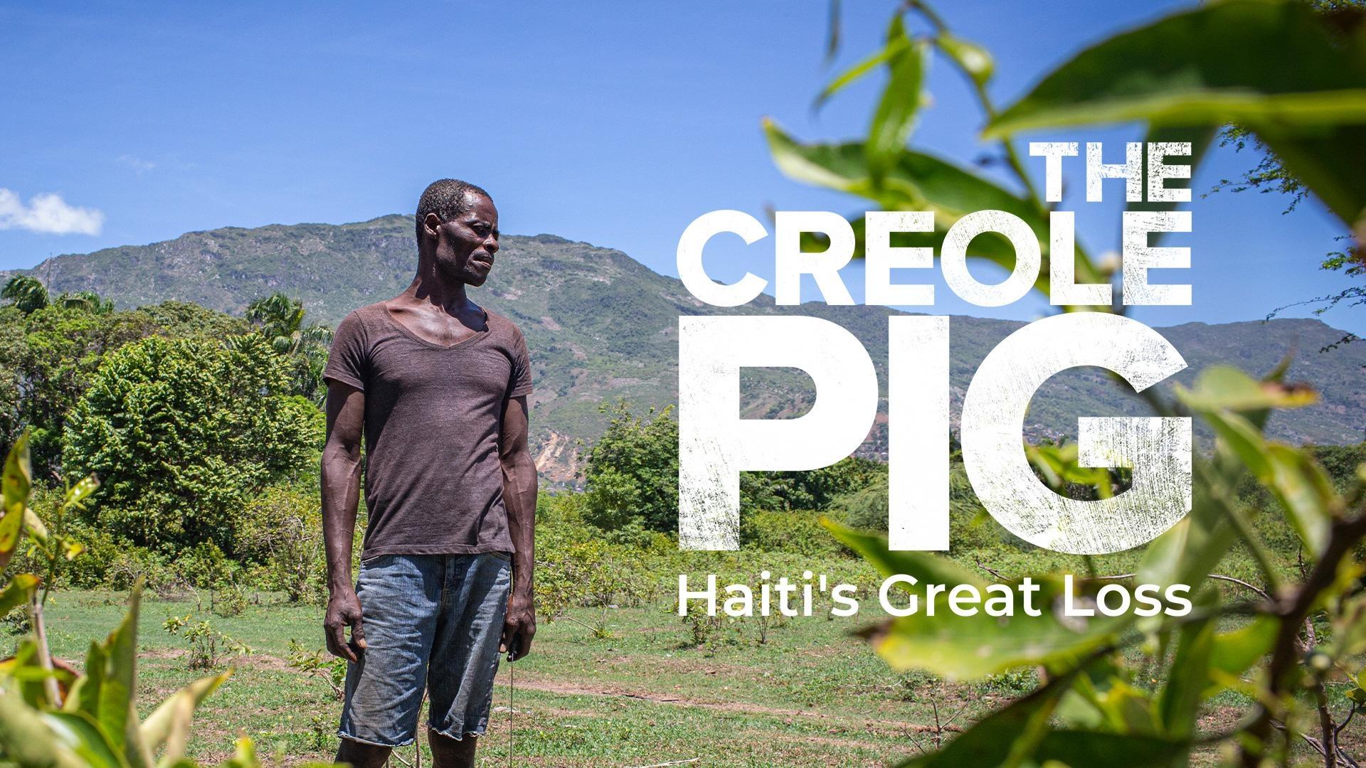 The Creole Pig: Haiti's Great Loss | The Creole Pig: Haiti's Great Loss ...