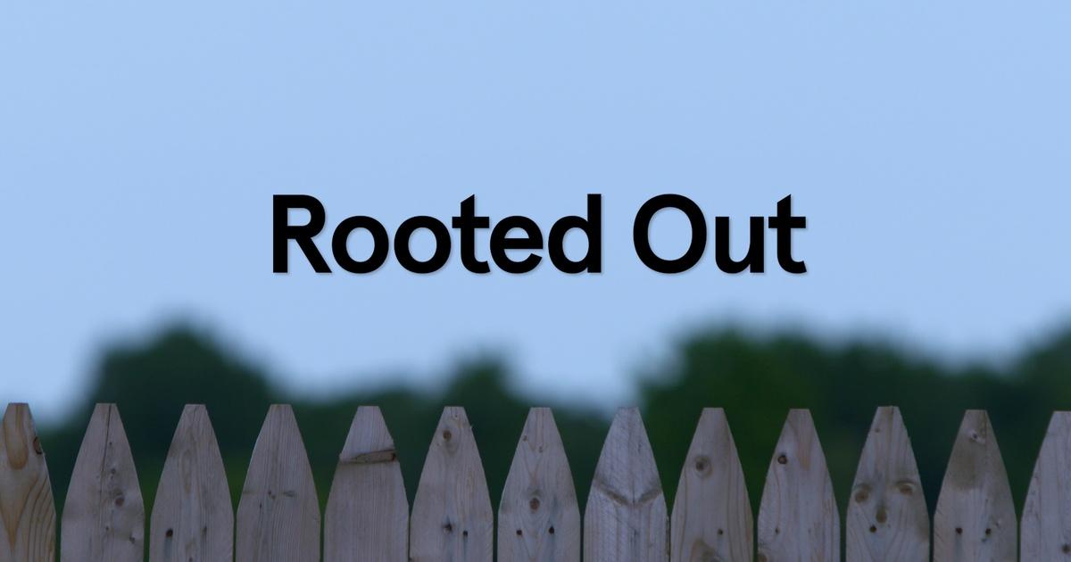 WMHT Specials | Rooted Out | Preview | PBS