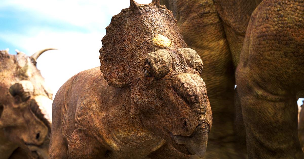 Walking with Dinosaurs | The Journey North | Episode 5 | PBS