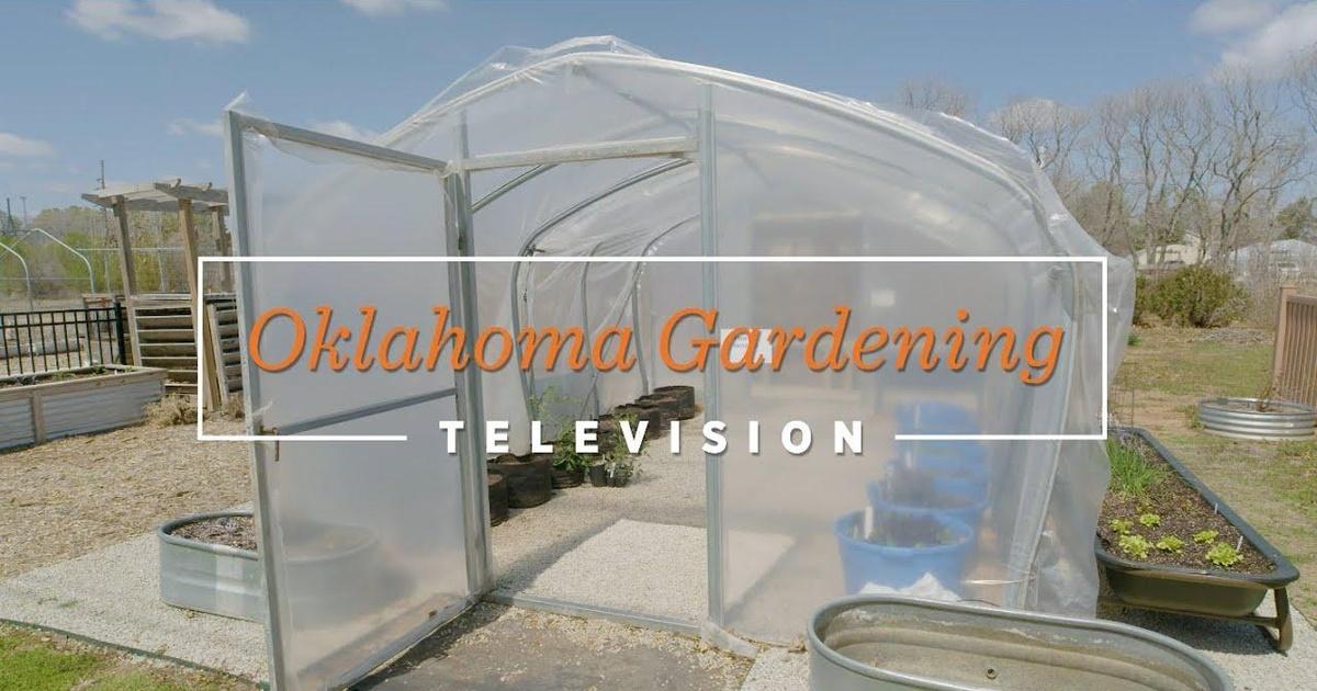 Oklahoma Gardening | 4940: Oklahoma Gardening | Season 49 | Episode ...