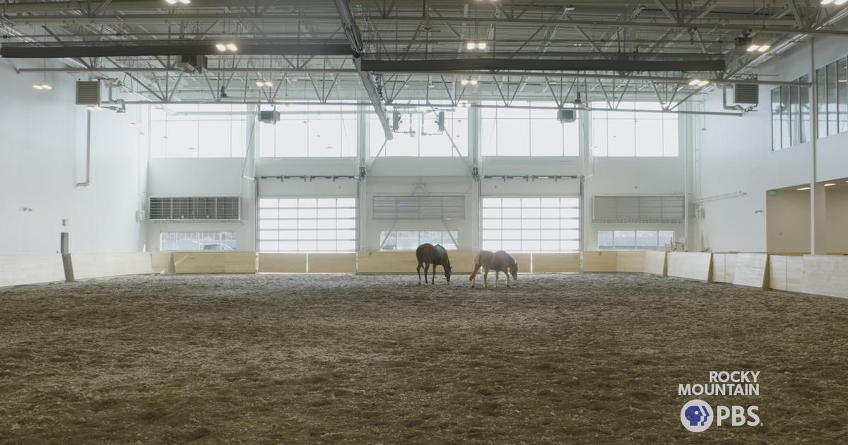 Colorado Voices | CSU opens science hub dedicated to animals, water and ...